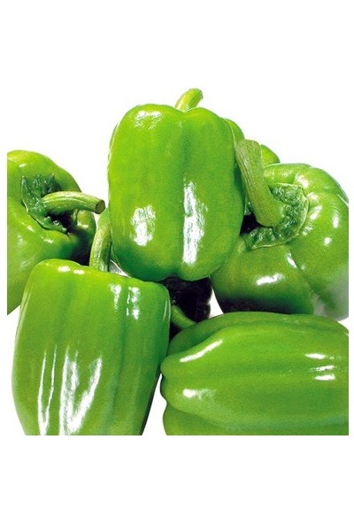 Tohum Diyarı Dolma Biber Tohumu 30+ Tohum Tohum Diyarı Dolma Biber Tohumu 30+ Tohum