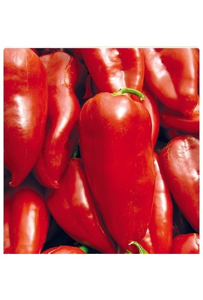 Tohum Diyarı Kapya Biber Tohumu 20+ Tohum Tohum Diyarı Kapya Biber Tohumu 20+ Tohum