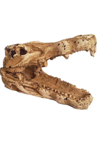 Ti-Sert Timsah Kafası Akvaryum Kafası (D-252)