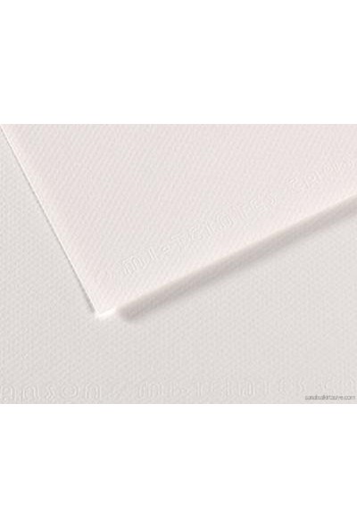Canson Mi-Teintes Dokulu Fon Kartonu 50x65 cm. 335 Beyaz 1 Adet