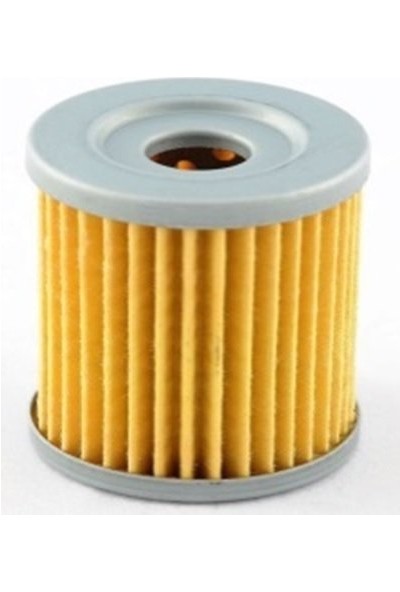 Monero Yağ Filtresi Pıoneer Monero Ramzey Xf200-10V - Oem 200Cc