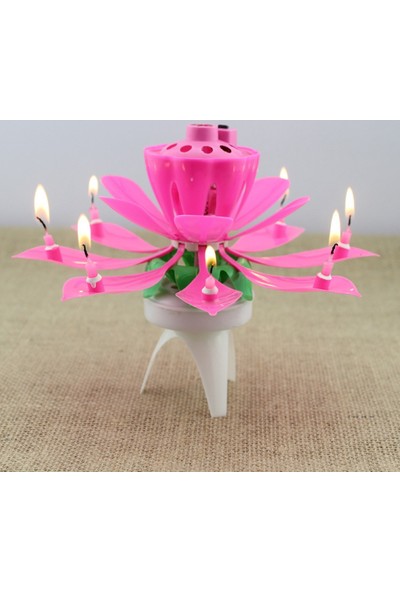 Fonnava Müzikli Kendinden Açılan Sihirli Pasta Mumu Fonnava Müzikli Kendinden Açılan Sihirli Pasta Mumu