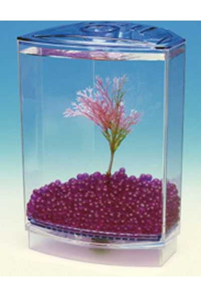 Penn Plax Beta Kabı Tek Bölme