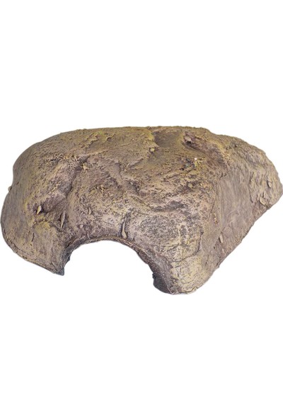 Dansör Sürüngen Kayası