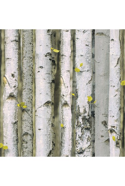 9270 Ahşap Desenli Duvar Kağıdı