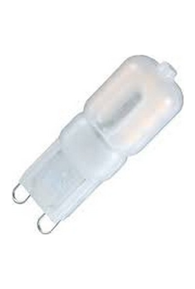 T5 Yaylı Soket Lamba Duyu 2 Adet