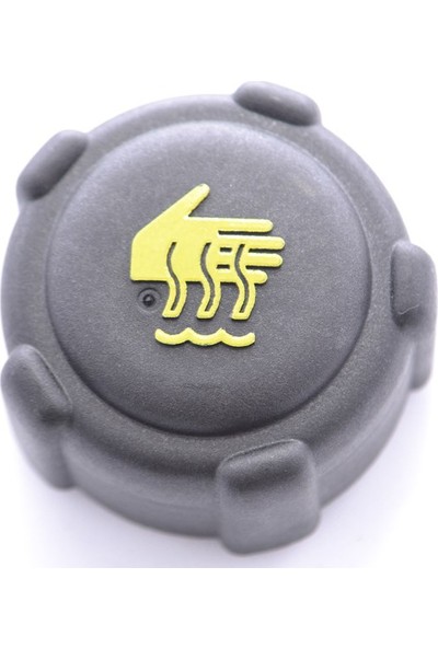 Cey RENAULT LAGUNA Radyatör Ek Depo Kapağı 1994 - 2012