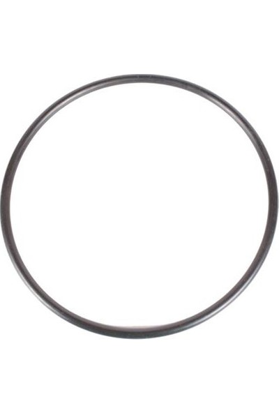 Cey RENAULT CLIO SW (GRAND SPORT TUR) Sanzuman Arka Kapak Contası Cey RENAULT CLIO SW (GRAND SPORT TUR) Sanzuman Arka Kapak Contası