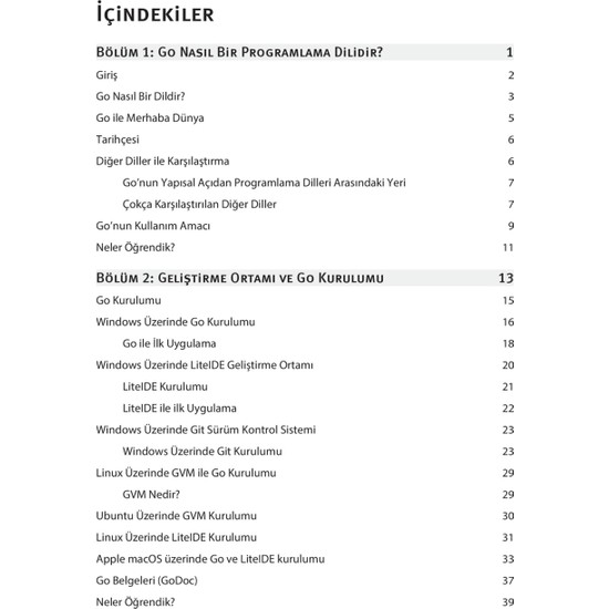 Dikeyeksen Yayın Dağıtım Go Programlama - Murat Özalp Kitabı