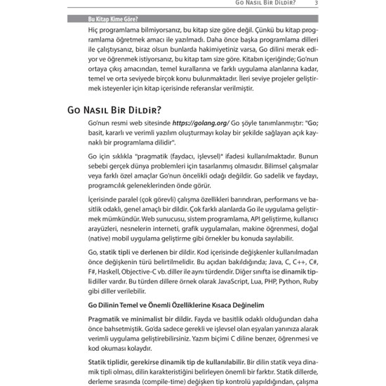 Dikeyeksen Yayın Dağıtım Go Programlama - Murat Özalp Kitabı