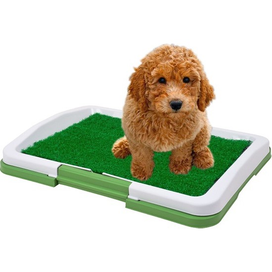 Pratik Yavru Köpek Lazımlık Puppy Potty Pad Fiyatı