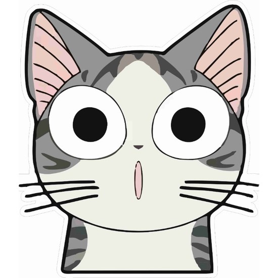 Stickermarket Kedi Sticker Fiyatı - Taksit Seçenekleri