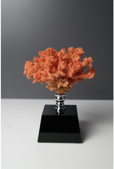 Ambiente Turuncu Mercan Siyah Cam Kaideli Dekoratif Obje 17 cm