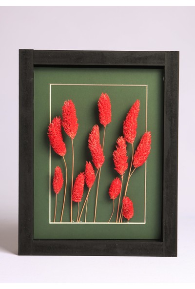 Kırmızı Palaris Kuş Otu Kuru Çiçek El Yapımı 3D Tekli Siyah Çerçeve Tablo