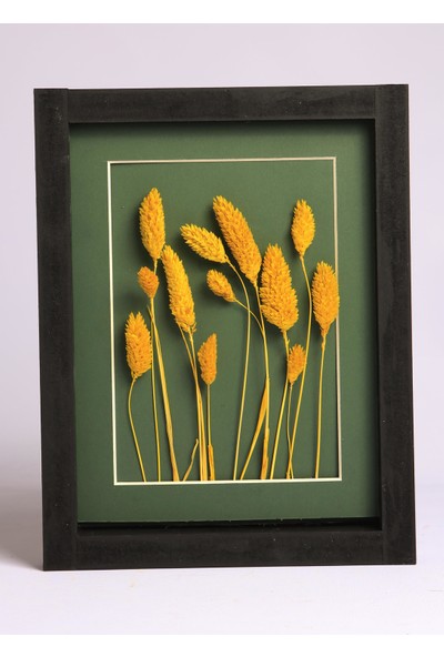 Sarı Palaris Kuş Otu Kuru Çiçek El Yapımı 3D Tekli Siyah Çerçeve Tablo