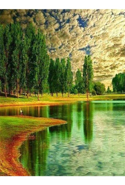 Movas Sanat Ormanlık Gölet ve Gökyüzünün Uyumu Elmas Mozaik Tablo Movas Sanat Ormanlık Gölet ve Gökyüzünün Uyumu Elmas Mozaik Tablo