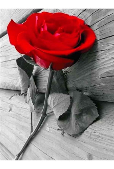 Movas Sanat Dalından Koparılmış Gül Elmas Mozaik Tablo