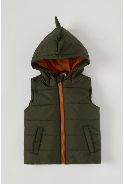 Defacto Erkek Bebek Kapüşonlu 3D Şişme Yelek T3442A221SP