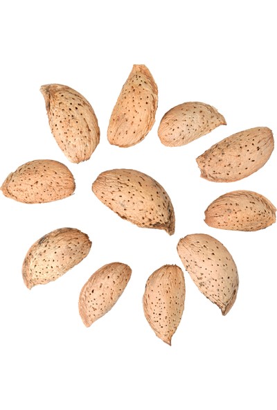 Sert Kabuklu Badem 1 kg Sert Kabuklu Badem 1 kg