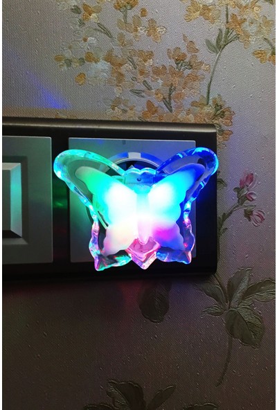 Parshop Kelebek 2W Çok Renkli Işıklı Fişli Anahtarlı Gece Lambası Rgb Işık Parshop Kelebek 2W Çok Renkli Işıklı Fişli Anahtarlı Gece Lambası Rgb Işık