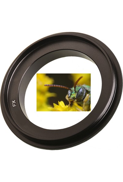 Raypro Fujifilm Için 58MM Makro Çekim Ters Halka Adaptörü Raypro Fujifilm Için 58MM Makro Çekim Ters Halka Adaptörü
