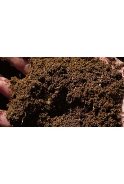 Agrobazaar Çim Kapak Toprağı 80 Lt
