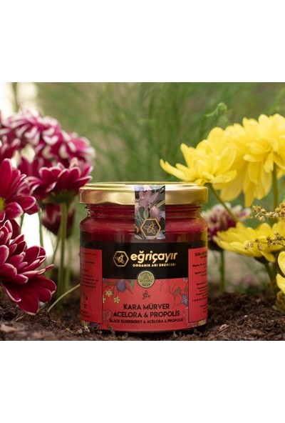 Eğriçayır Kara Mürver, Acelora ve Propolis Karışımı 225 gr Eğriçayır Kara Mürver, Acelora ve Propolis Karışımı 225 gr