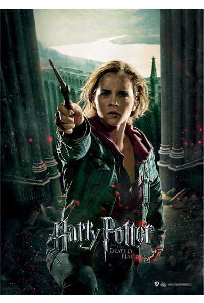 Wizarding World - Harry Potter Poster - Deathly Hallows P.2, Hermione B. Wizarding World - Harry Potter Poster - Deathly Hallows P.2, Hermione B.
