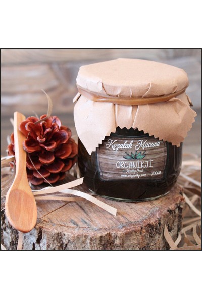 Organikji Kozalak Macunu 700 gr