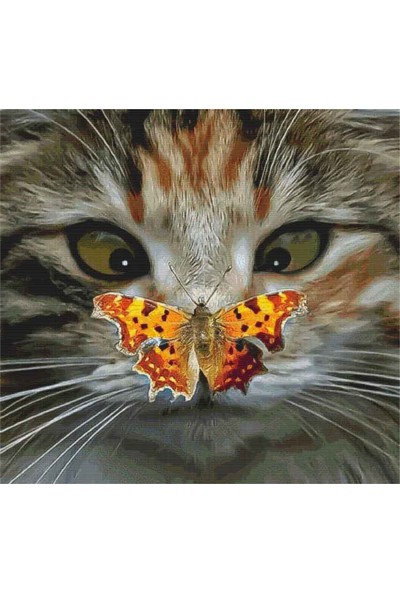 Movas Sanat Yavru Bir Kedi ve Kelebek Elmas Mozaik Tablo