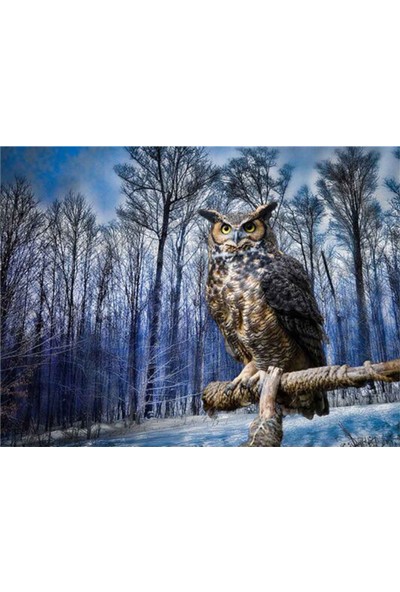 Movas Sanat Karlı Havada Gezen Baykuş Elmas Mozaik Tablo Movas Sanat Karlı Havada Gezen Baykuş Elmas Mozaik Tablo