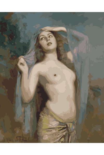 Hanqi Kız DIY Tam Dijital Yağlı Boya