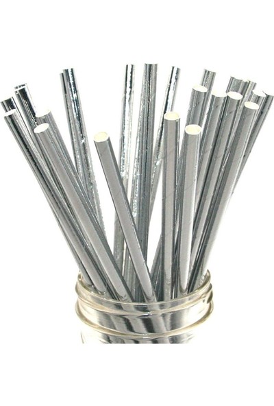 Pandoli Düz Gümüş Renk Kağıt Pipet 25 Adet