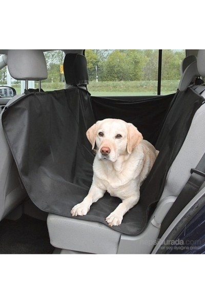 Ankaflex Kedi Köpek Evcil Hayvanlar Için Araç Için Koltuk Kılıfı Basit Koltuk Örtüsü Koltuk Koruyucu 145 x 145 cm Siyah Ankaflex Kedi Köpek Evcil Hayvanlar Için Araç Için Koltuk Kılıfı Basit Koltuk Örtüsü Koltuk Koruyucu 145 x 145 cm Siyah
