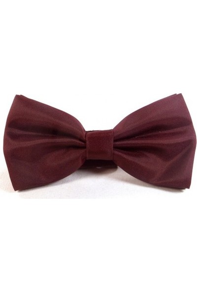 Sade Kravat Mat Saten Bordo Papyon P026