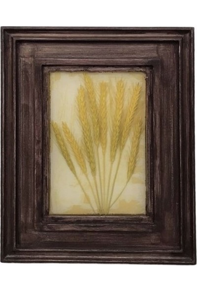 Artsmartix Kurutulmuş Bitkili Çiçekli Tablo Duvar Dekoru