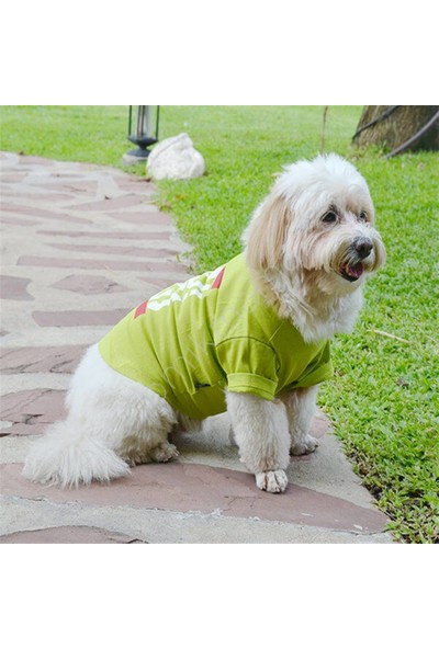DOGGY DOLLY KÖPEK TİŞÖRTLERİ