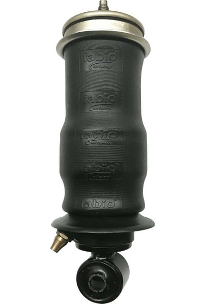 Fabio 945601-C / Maz 72170010598/ 643.068