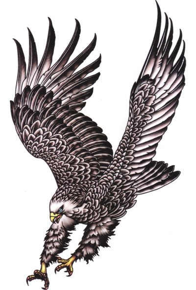 Bp Tattoo Geçici Kartal Dövmesi