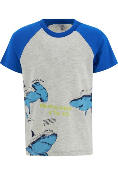 DeFacto Erkek Çocuk Köpek Balığı Baskılı Kısa Kol Tişört T6180A621SM