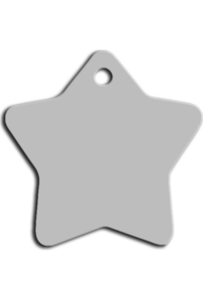 Pet Tag Art Büyük Yıldız Kedi Köpek Künyesi Gri