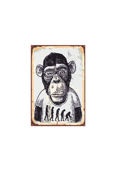 Hayat Poster Tersine Evrim Retro Ahşap Poster 20X30 cm Hayat Poster Tersine Evrim Retro Ahşap Poster 20X30 cm