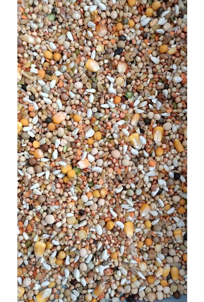 Gagayem Güvercin Karışık Yem-10 kg