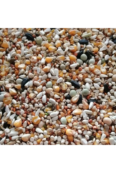 Namver Güvercin Yemi 10 kg