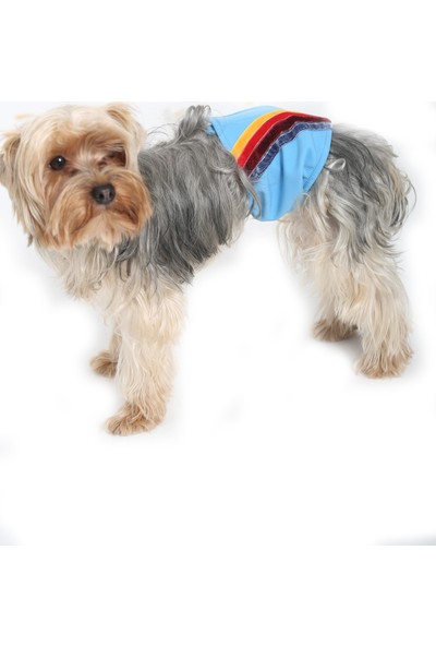 Oxy Official Oxy Doxy Küçük Irk Köpek Bel Bandı Oxy Official Oxy Doxy Küçük Irk Köpek Bel Bandı