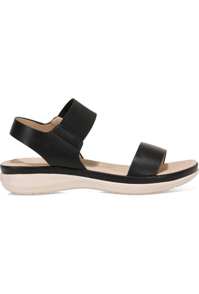Inci Chıcas 1fx Siyah Kadın Sandalet Kalın Taban Inci Chıcas 1fx Siyah Kadın Sandalet Kalın Taban