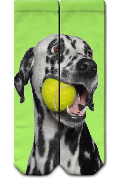 Ogobongo Soket Çorap Dog 35-38 Numara