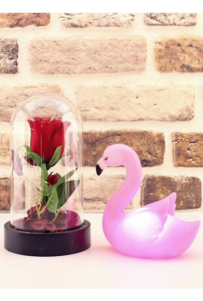 Star Global Sevgiliye Hediye Dekoratif Flamingo Gece Lambası ve LED Işıklı Fanus Gül Seti Star Global Sevgiliye Hediye Dekoratif Flamingo Gece Lambası ve LED Işıklı Fanus Gül Seti