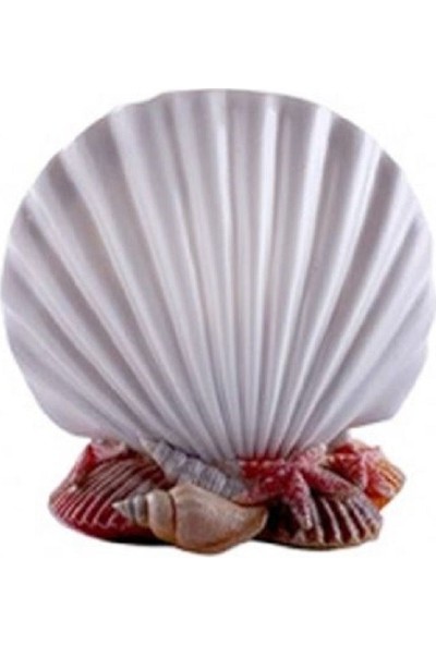 Primanova D-14462 Inci Diş Fırçalık