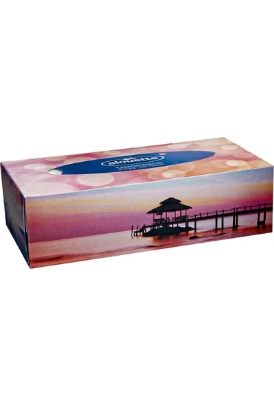 Alouette Kağıt Mendil 100'LÜ